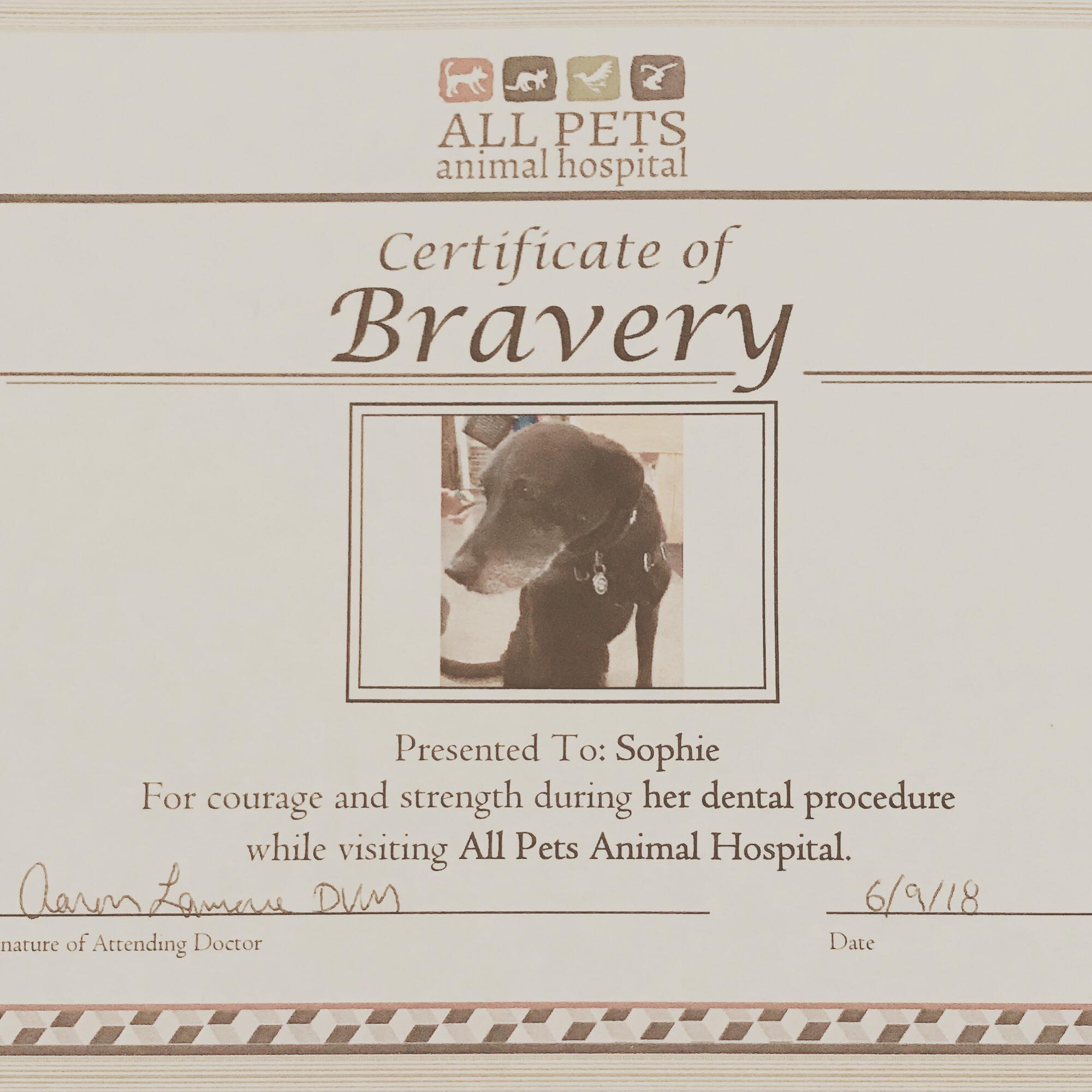 Certificate Of Bravery - Susie Morgan, LMFT