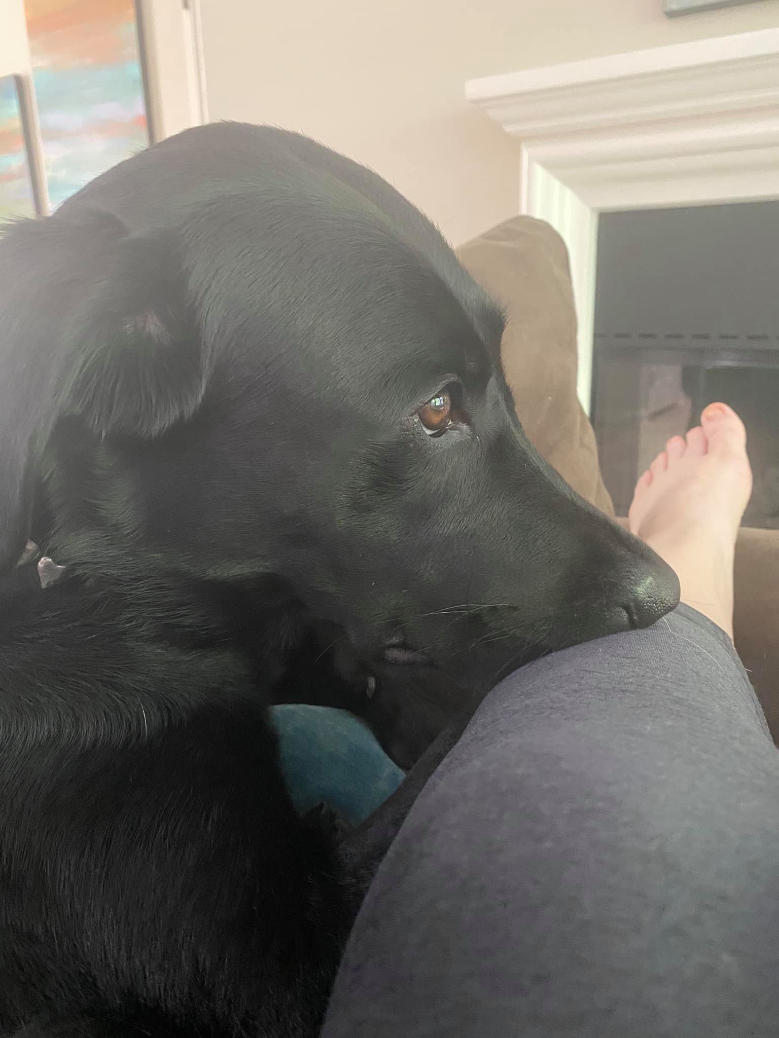 Feeling Safe Enough - Susie Morgan, LMFT